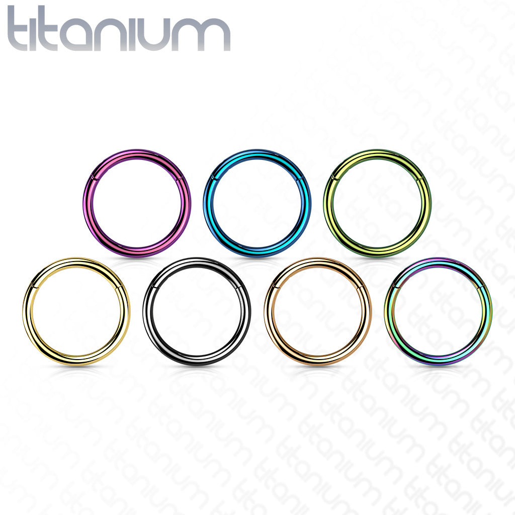 Titanium Colored Hinged Rings 20G and 18G – Pierced Affliction